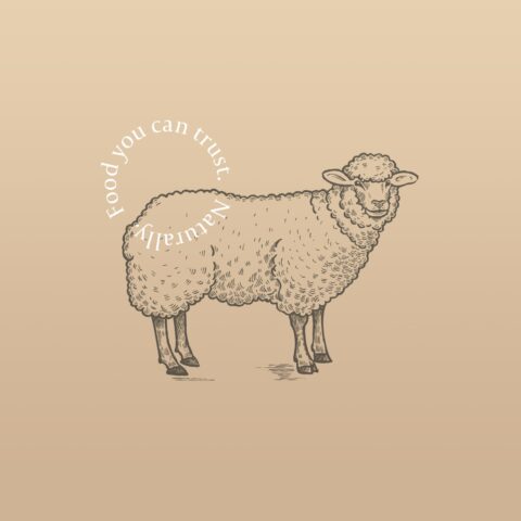 Essential Ground Lamb Organ Blend - The Honest Bison